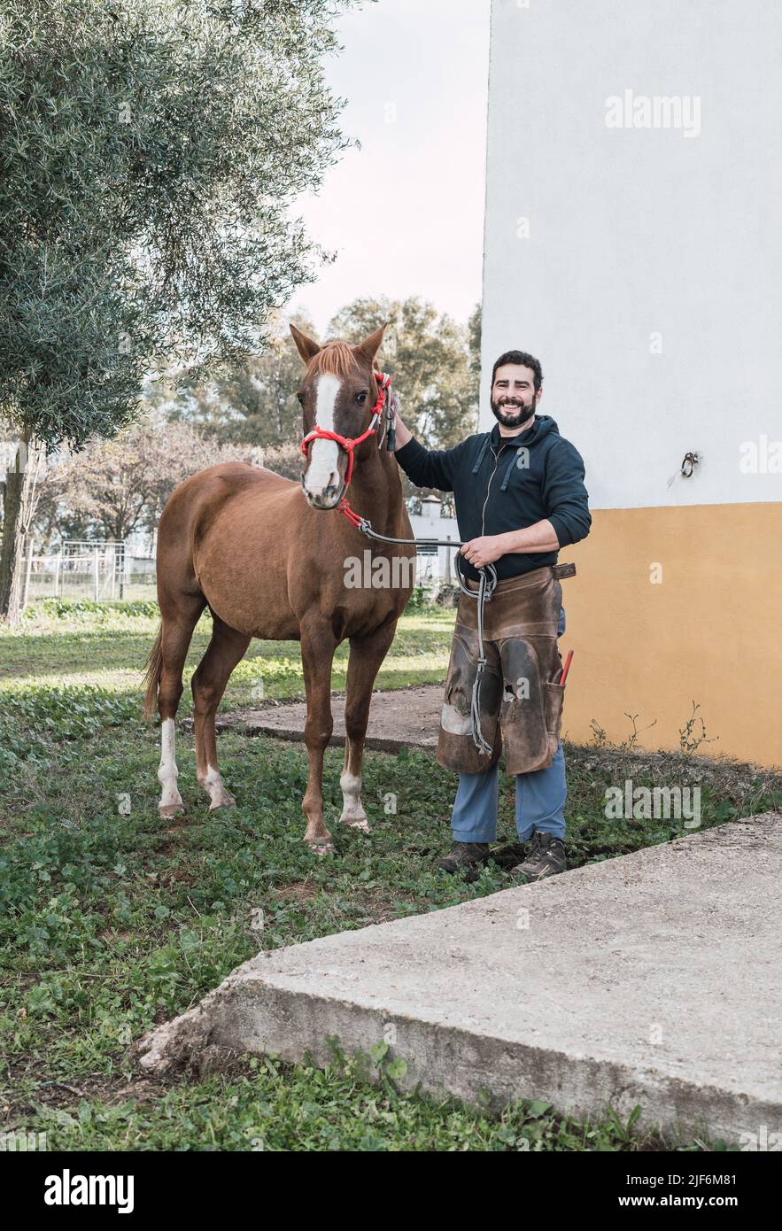 Full body of male groom in uniform holding halters of horse while ...
