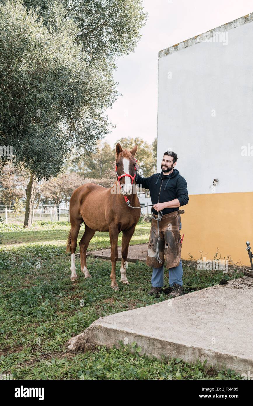 Full body of male groom in uniform holding halters of horse while ...