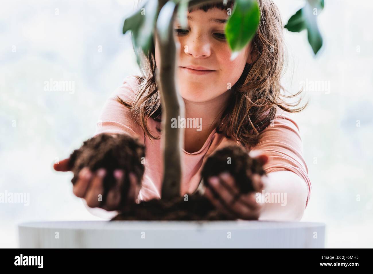 Cute crop girl pouring fertile soil into pot with green plant during ...