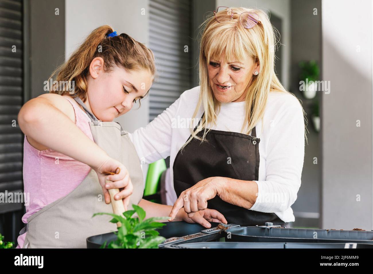 Caring Woman in apron helping focused granddaughter to replant green ...