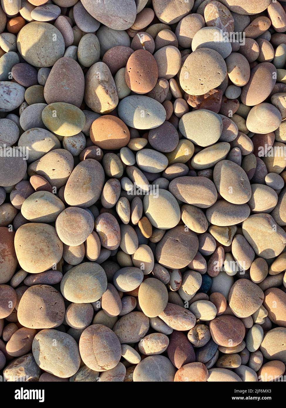 Pebbles on a Devon beach Stock Photo - Alamy