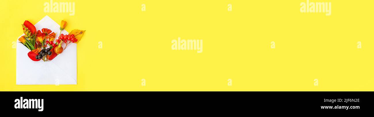 Autumnal Background. Fall natural plants and colorful leaves in mail ...