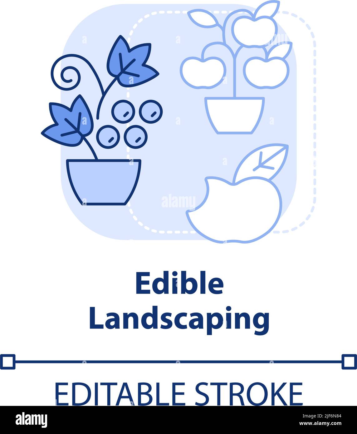 Edible landscaping light blue concept icon Stock Vector Image & Art - Alamy