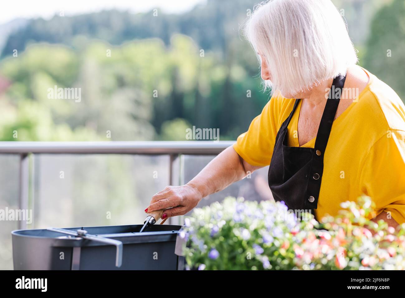 Side view of elderly female gardener in apron taking care of potted ...