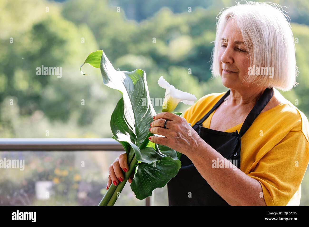 Side view of elderly female gardener in apron taking care of potted ...