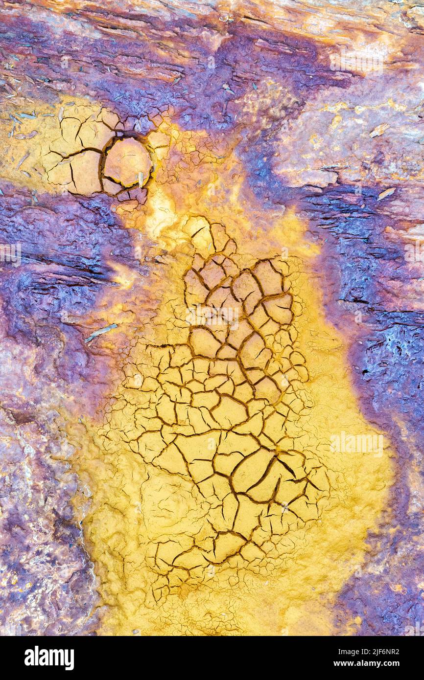 Abstract textured background of bright yellow and violet dry soil with ...