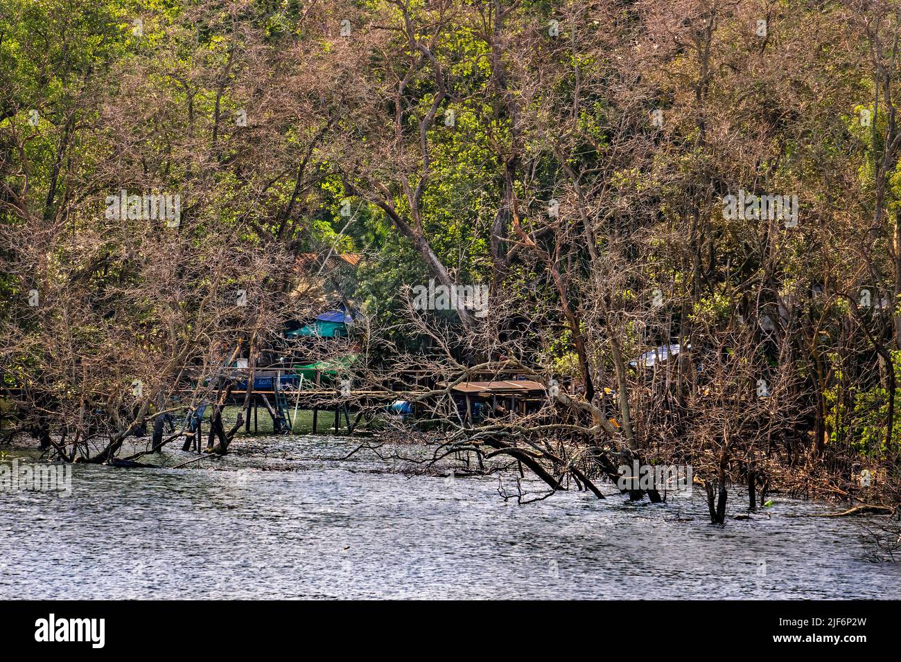 Seletar Fishing Village, Singapore's Last Fishing Village, near Yishun ...