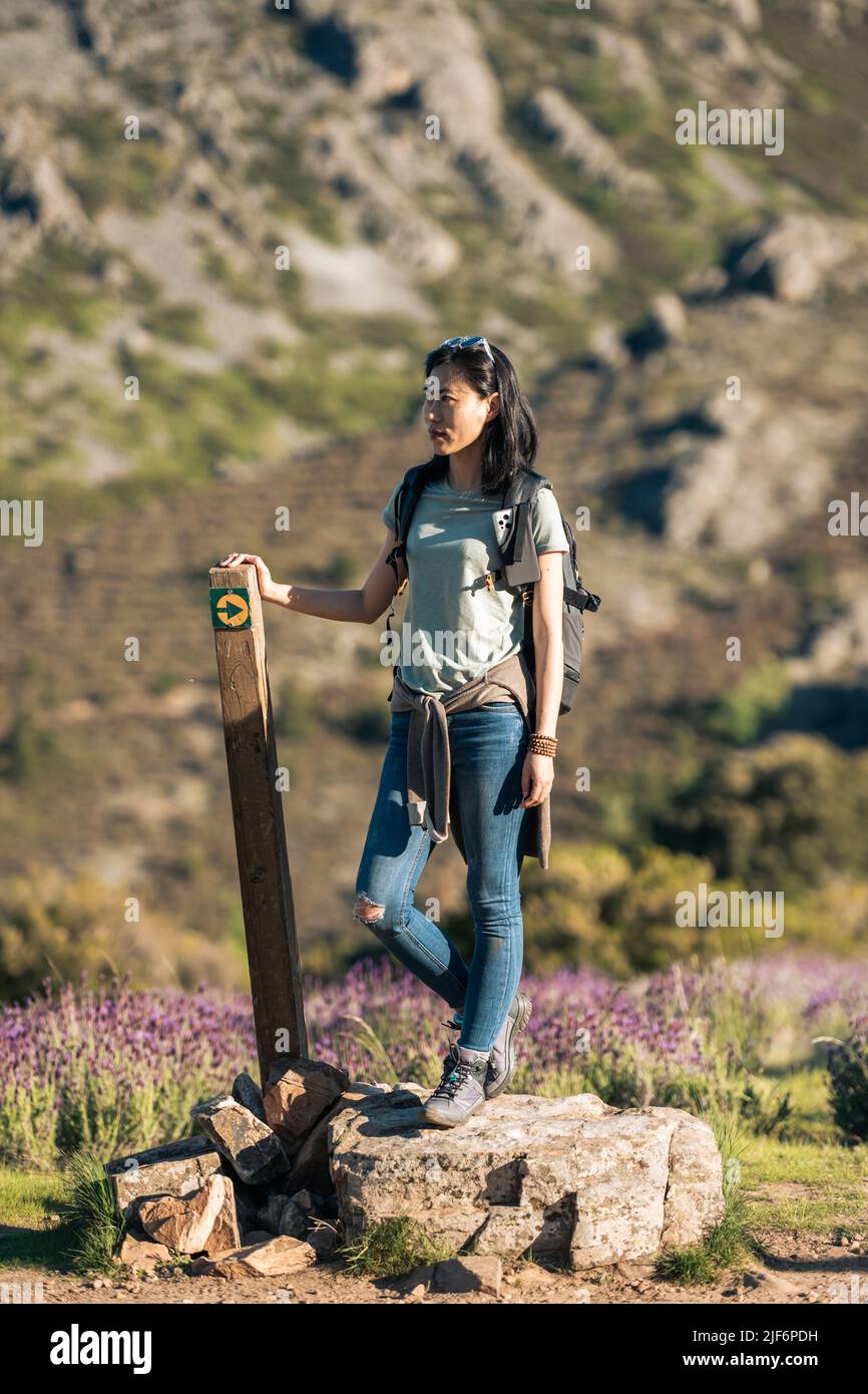 Full body of Asian female hiker looking away while standing near wooden ...