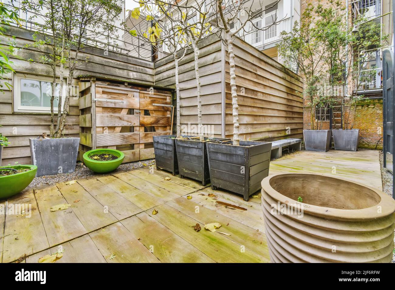Wooden backyard of residential building with potted green trees and ...