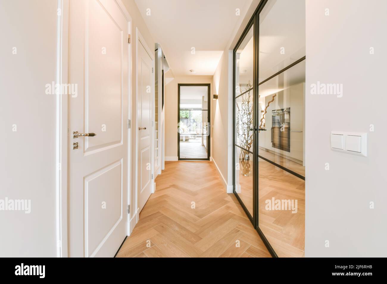 Long straight hallway with white and glass doors of closed room leading ...
