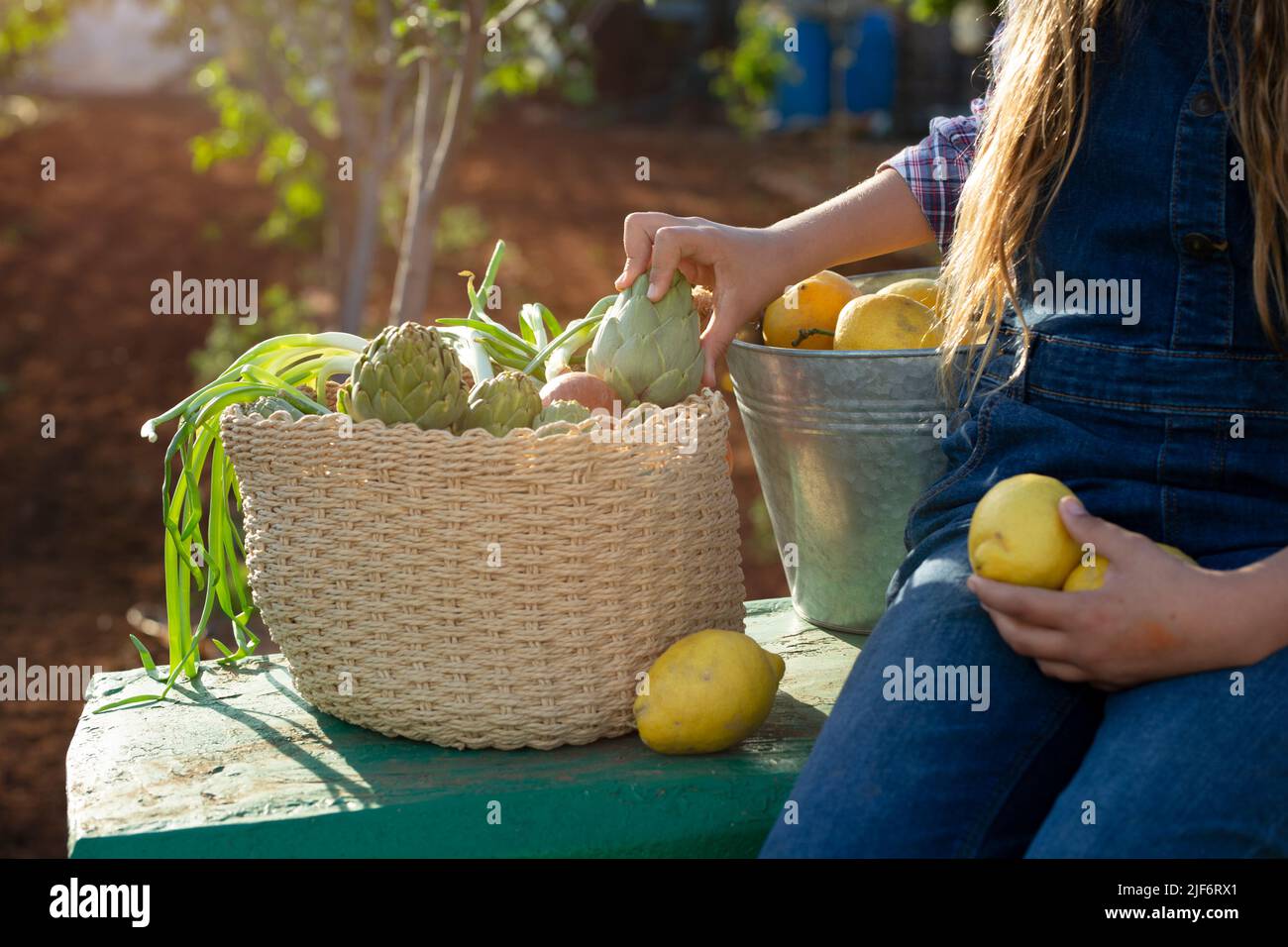 Crop girl in jeans with fresh lemons taking artichoke from wicker ...