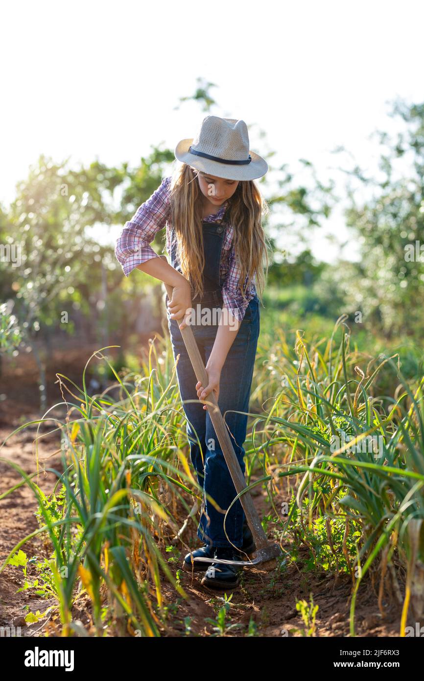 Full body little gardener in casual clothes using hoe to remove weeds ...