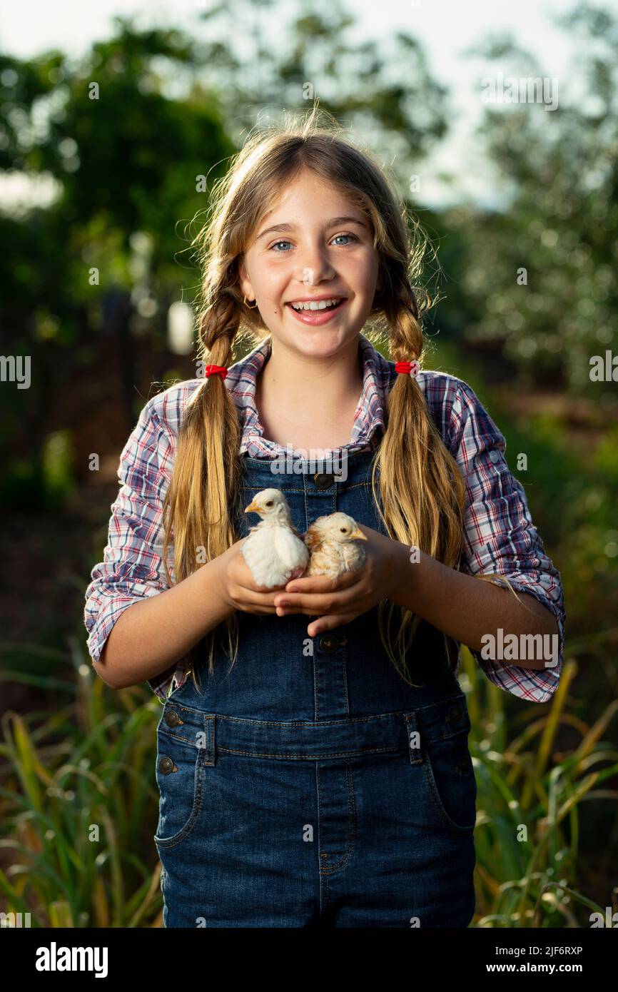 Merry little farmer in casual clothes with braids carrying cute chicks ...