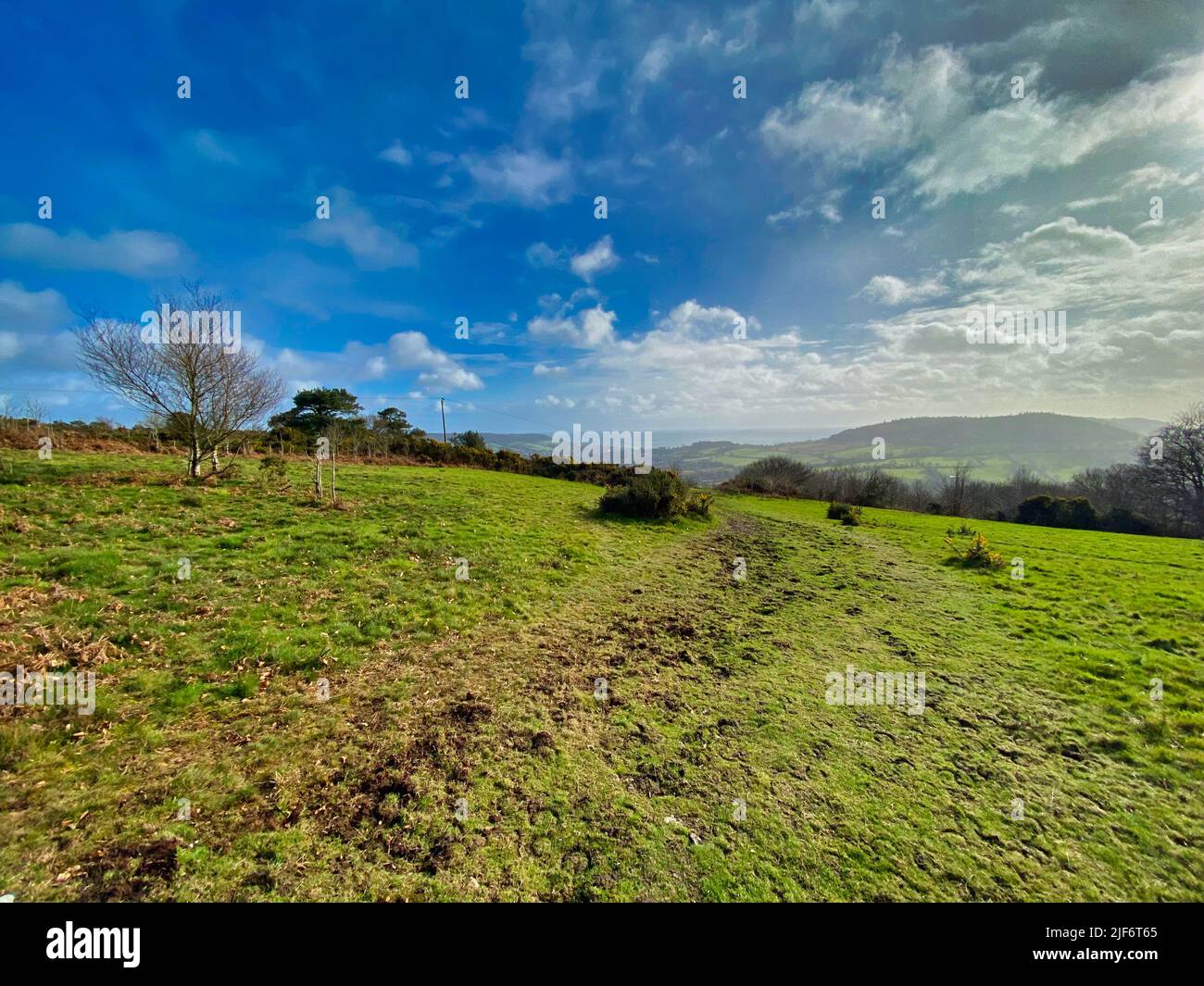 High peak devon hi-res stock photography and images - Alamy