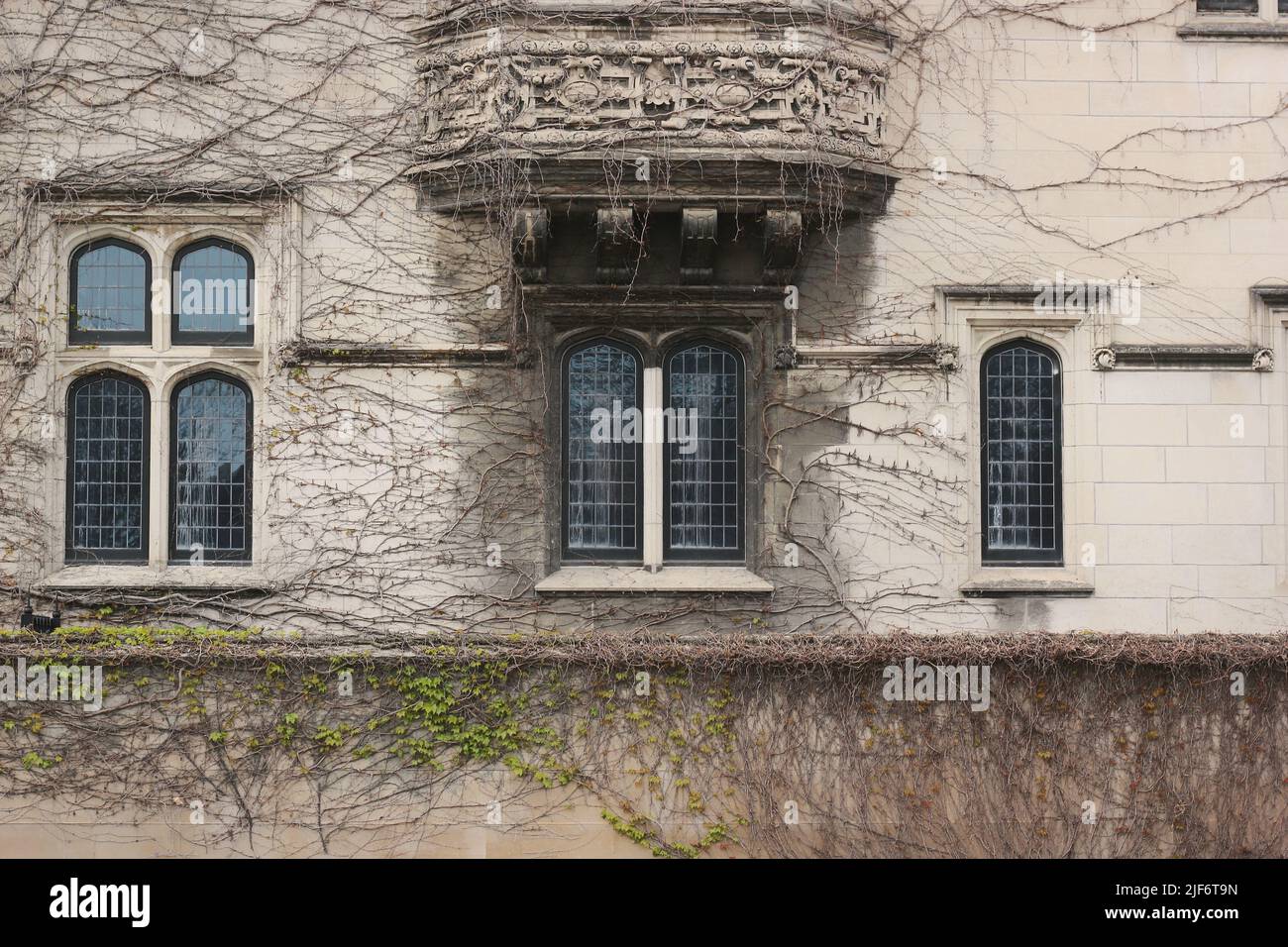 Beautiful vintage stone wall with elaborate medieval windows Stock ...