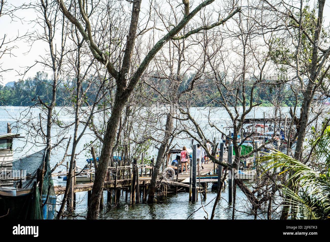 Jenal Jetty at Seletar Fishing Village. Singapore's Last Fishing ...