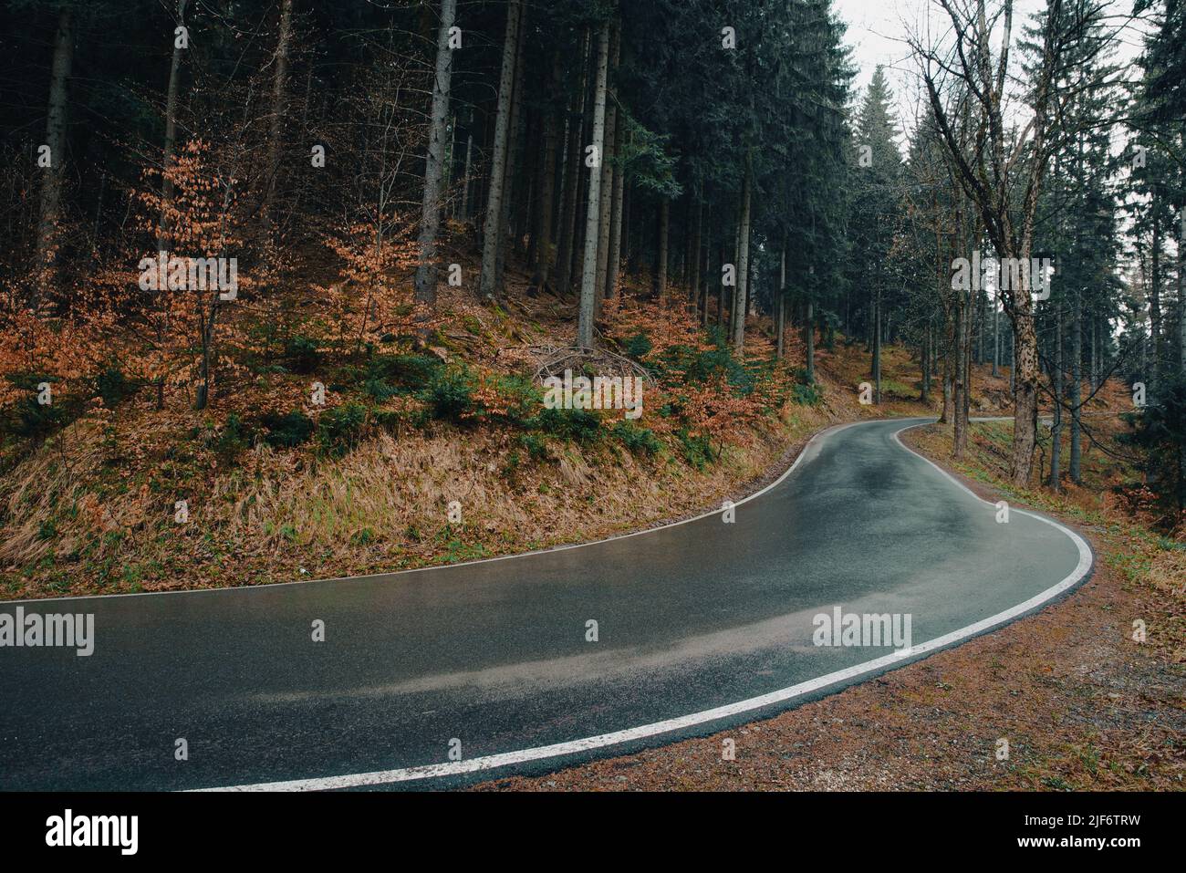 Scenic mountain winding road after rain through forest. Empty wet ...
