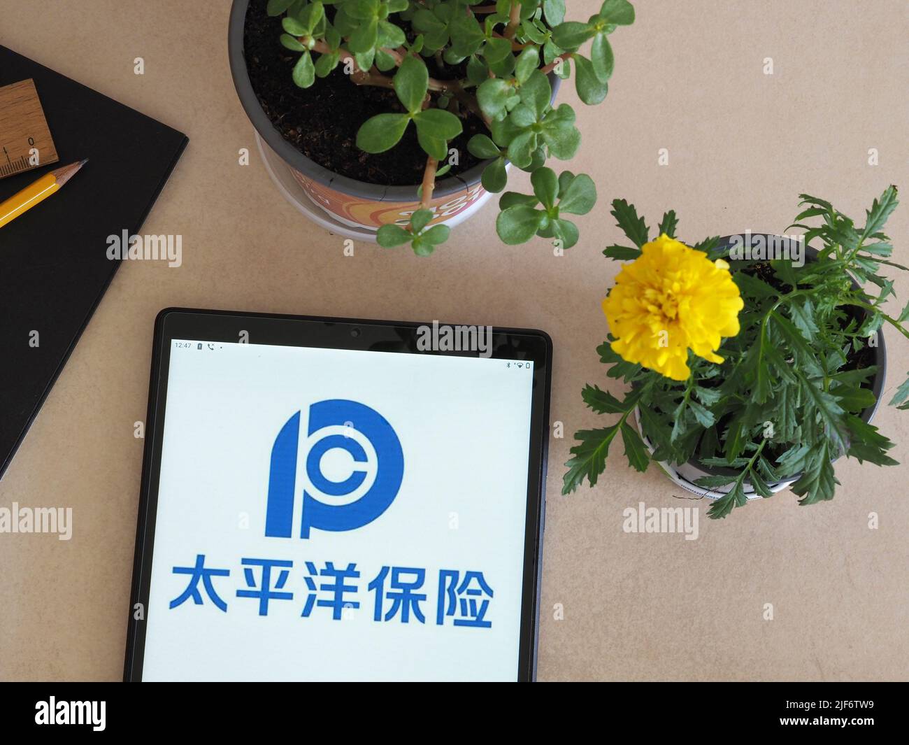 In this photo illustration China Pacific Insurance Co., Ltd. logo seen ...