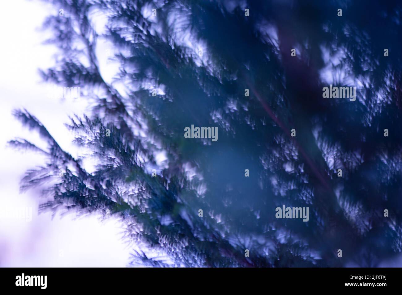 Paranormal blur stranger autumn Halloween horror backdrop. Blurred ...