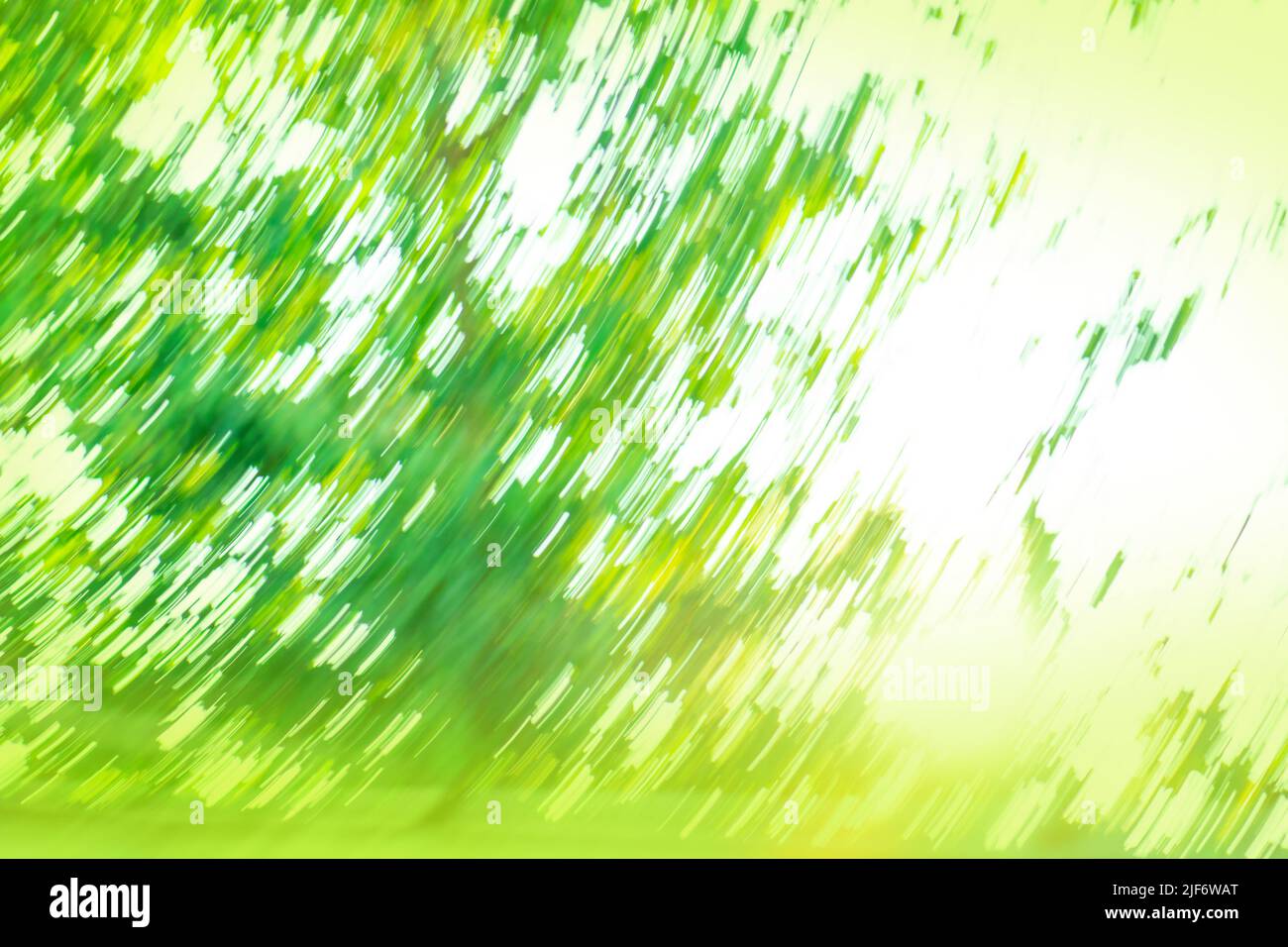 High speed motion blurred green nature. Abstract natural green motion ...