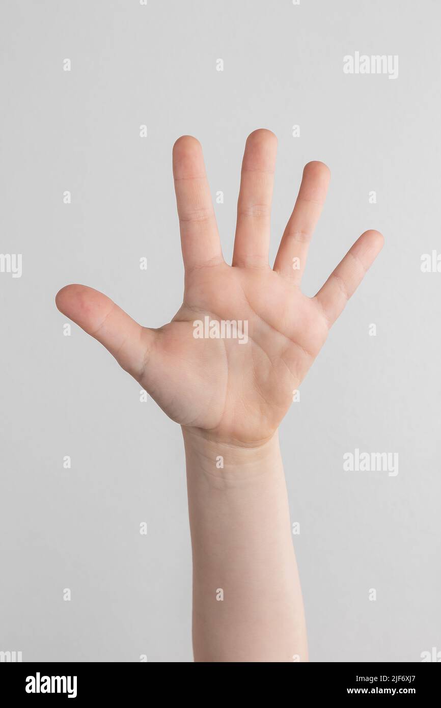 child hand counting and showing five fingers against white and gray ...