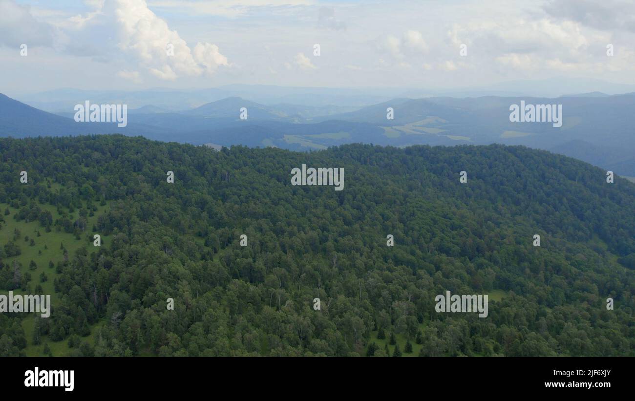 Green forest on mountains of Manzherok under white clouds, Altai ...