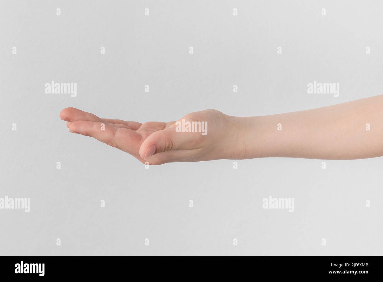 Flat Hand Palm Up