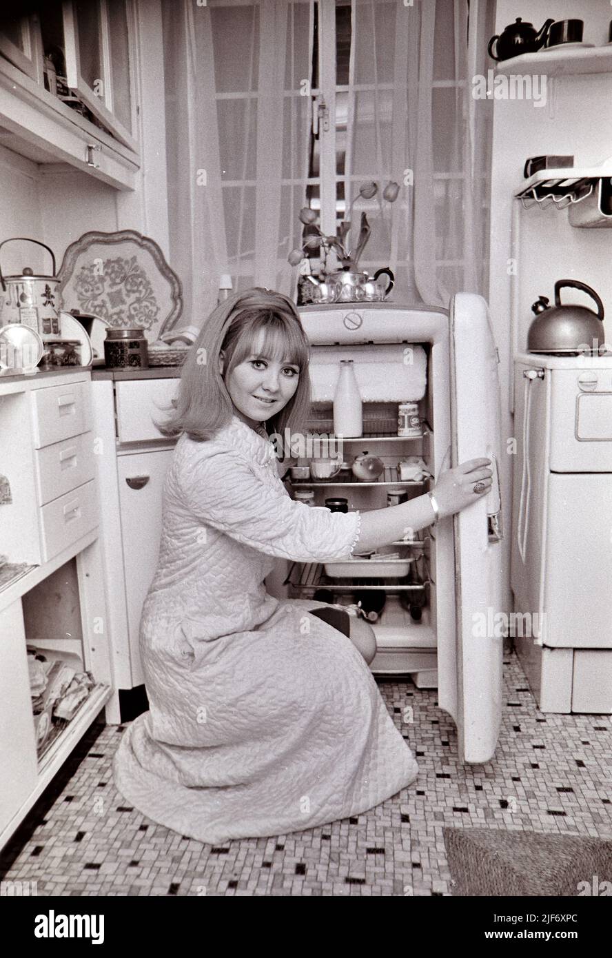 Lulu singer 1960s hi-res stock photography and images - Alamy