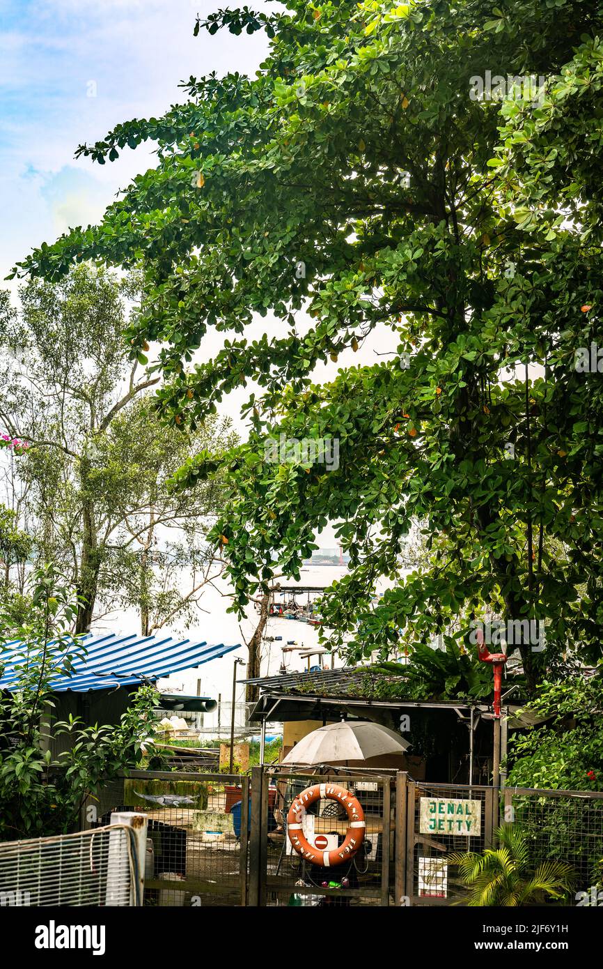 Jenal Jetty at Seletar Fishing Village. Singapore's Last Fishing ...