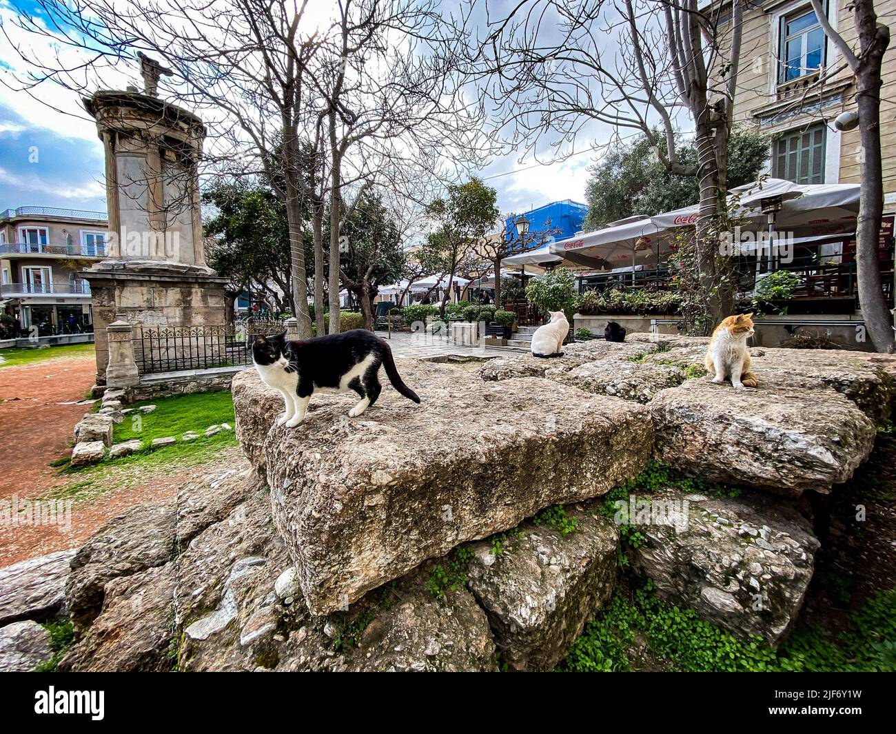 ChatGPT a dit : Explore Athens and discover its iconic monuments, from ...