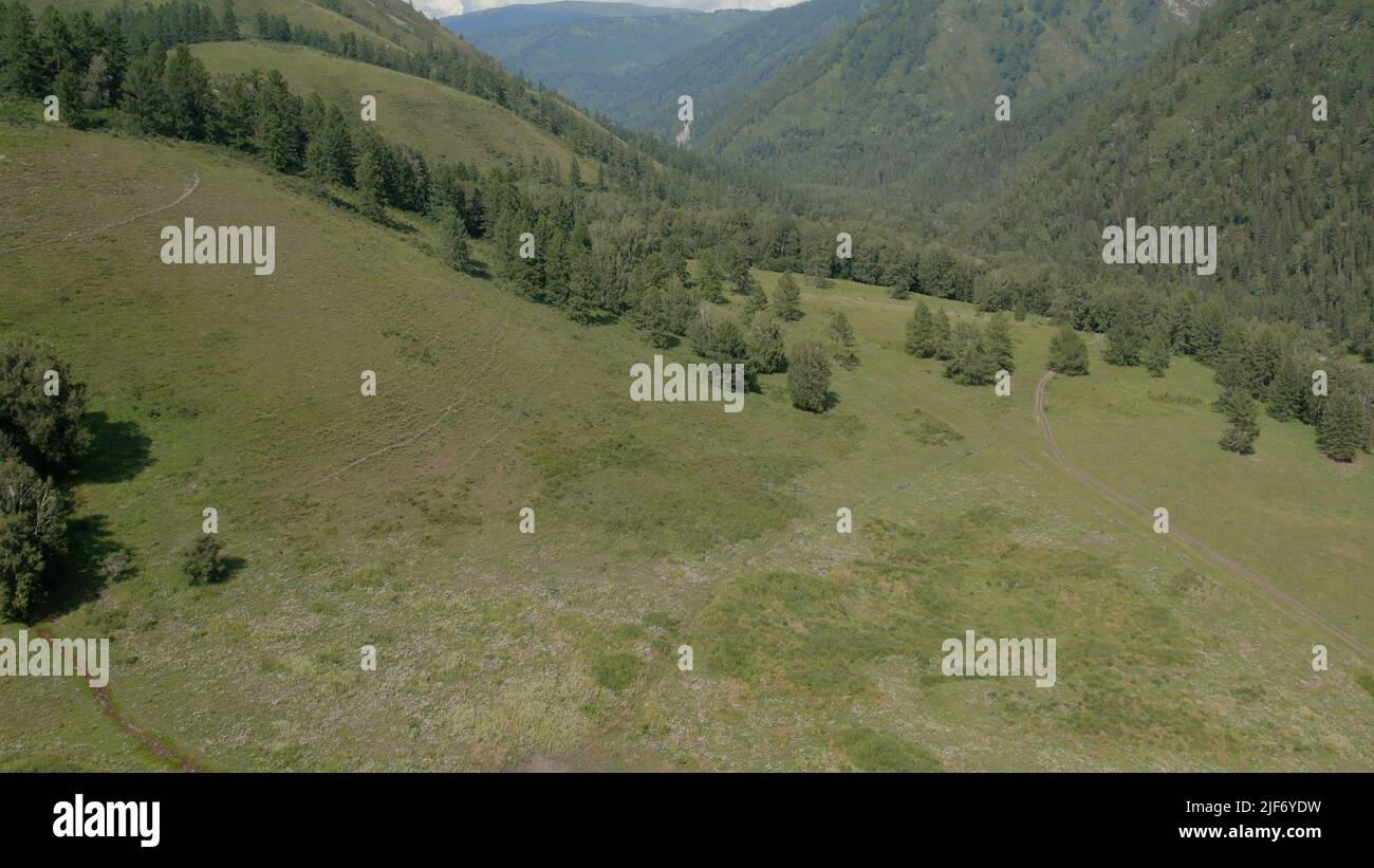 Mountains and green forest in Altai, Siberia, Russia. Beautiful summer ...