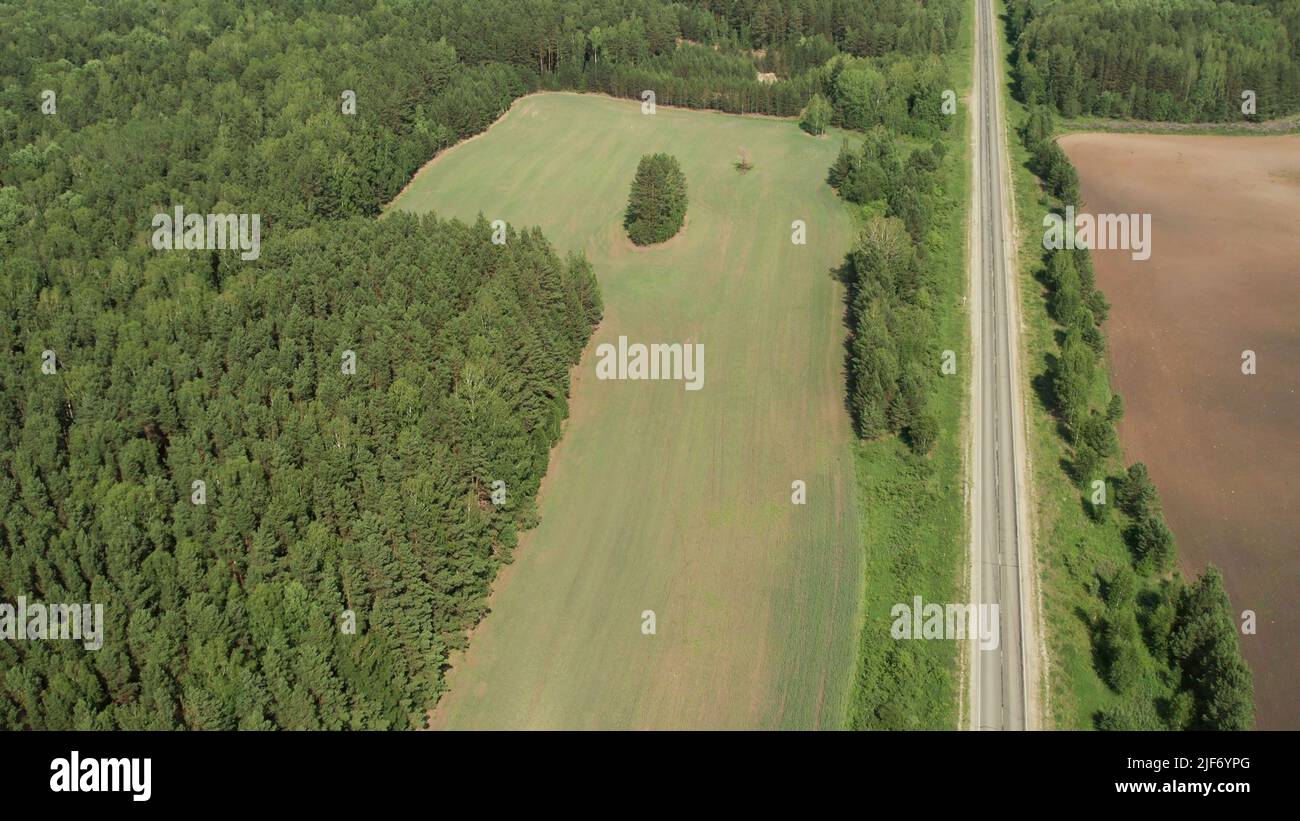 Asphalt road between forest and rural fields in Ural, Russia. Beautiful ...