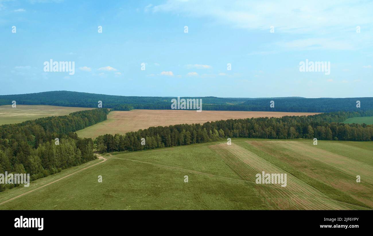 Green forest and rural field with blue sky in summer time in Ural ...