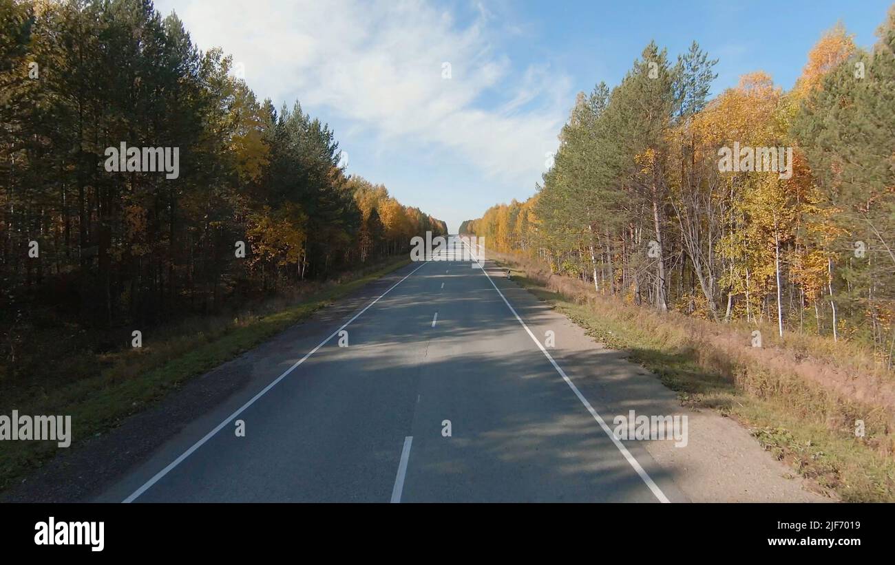 High-speed flight along the road and autumn forest in Ural, Russia ...