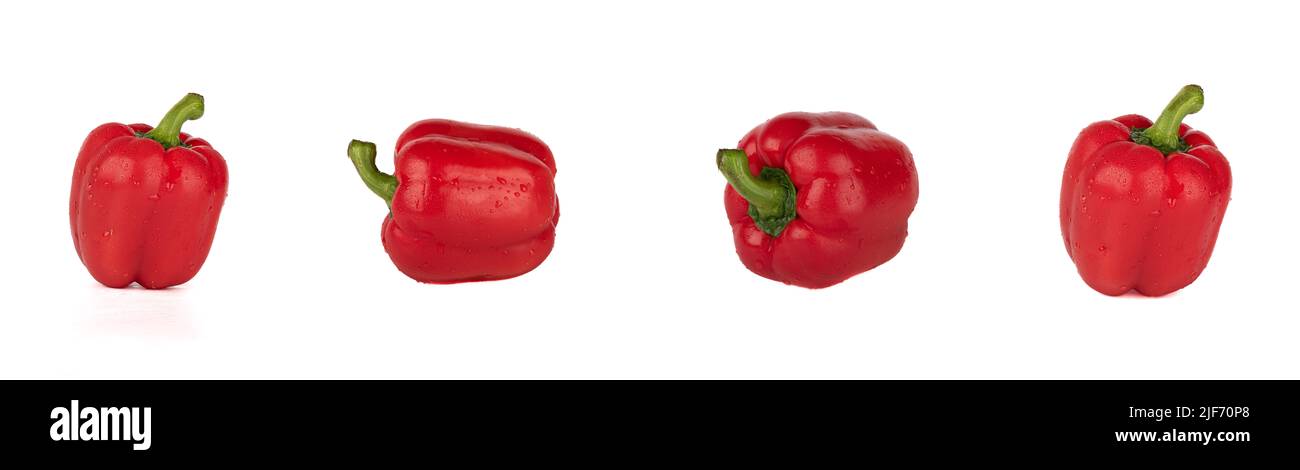 Red sweet capsicum in different positions on a white background. Copy ...