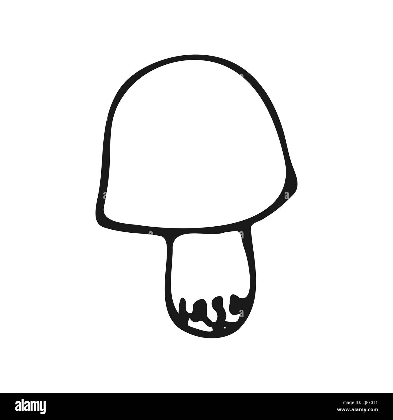 Edible boletus mushroom in Stock Vector Images - Alamy