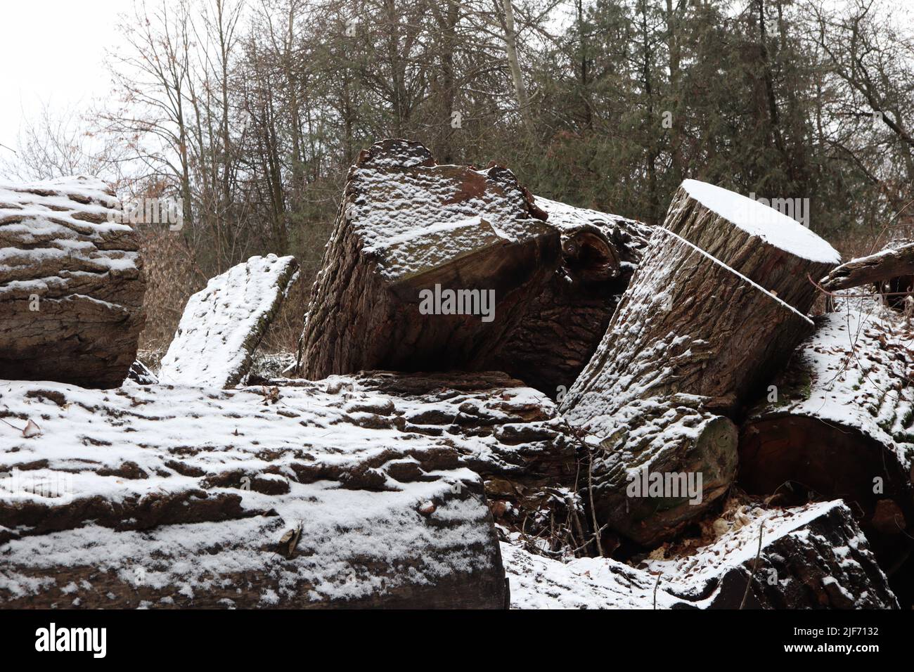 Wood log shore mountains hi-res stock photography and images - Alamy