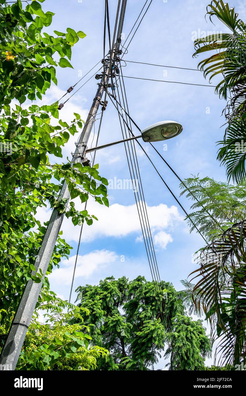 Lamp post at Kampong Lorong Buangkok, last surviving kampong, is a ...