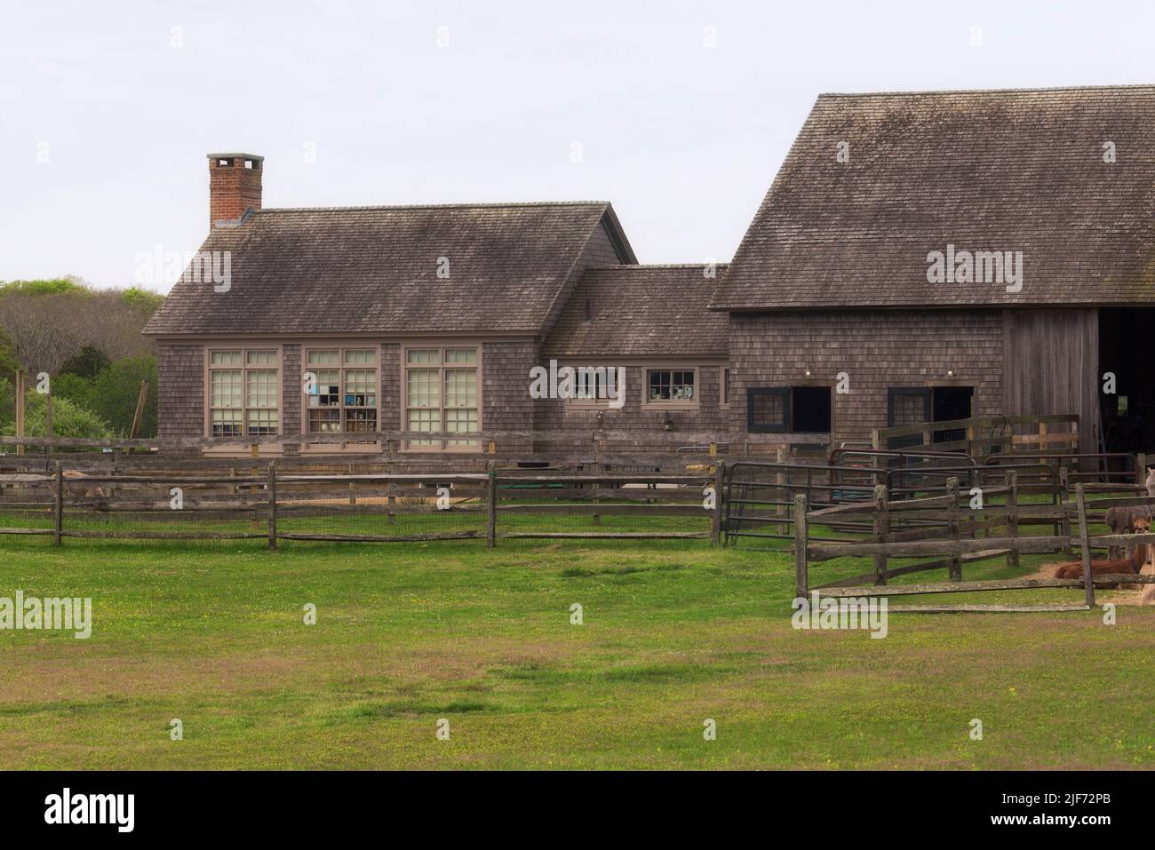 Wooden buildings on an alpaca farm on marthas vineyard on an overcast ...