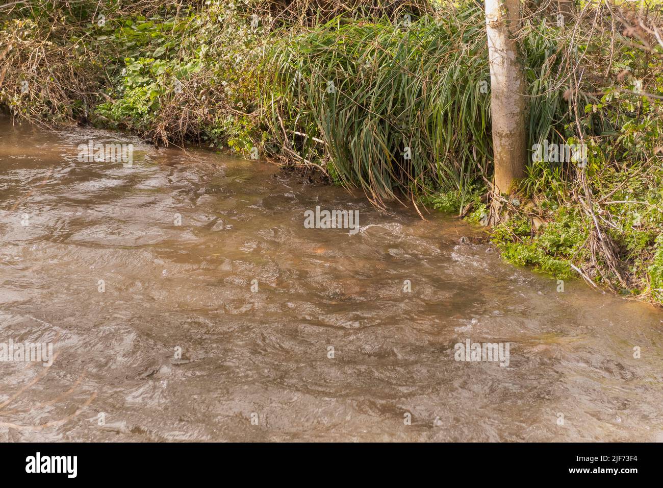shallow running water Stock Photo - Alamy