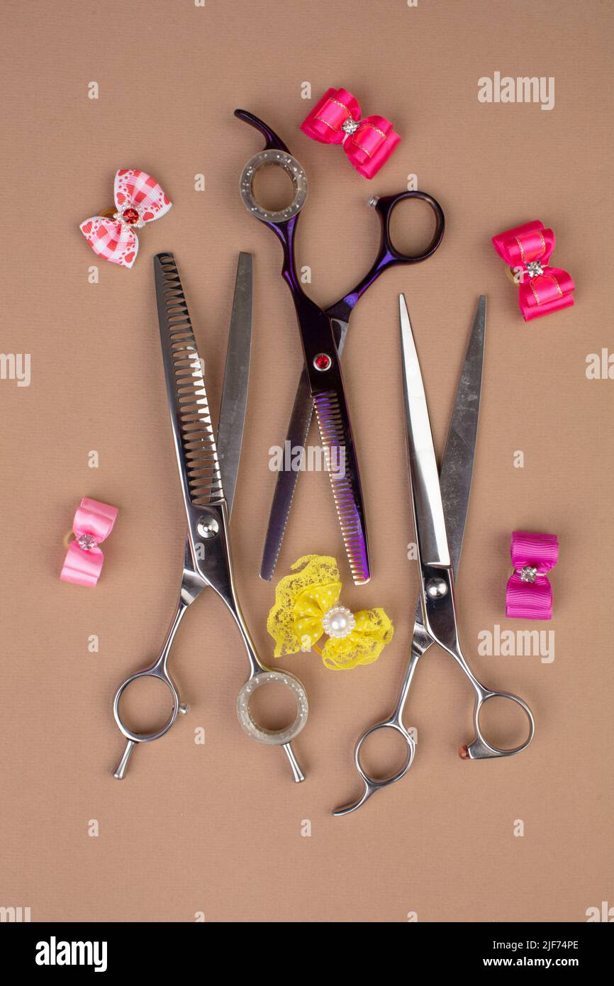 Tool for the groomer on a beige background. Dog grooming accessories ...