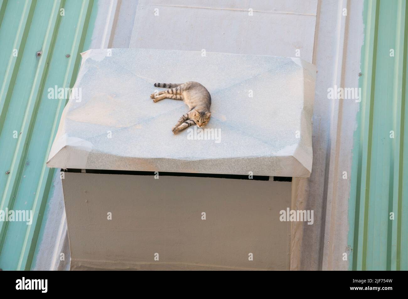 Gato tejado hi-res stock photography and images - Alamy