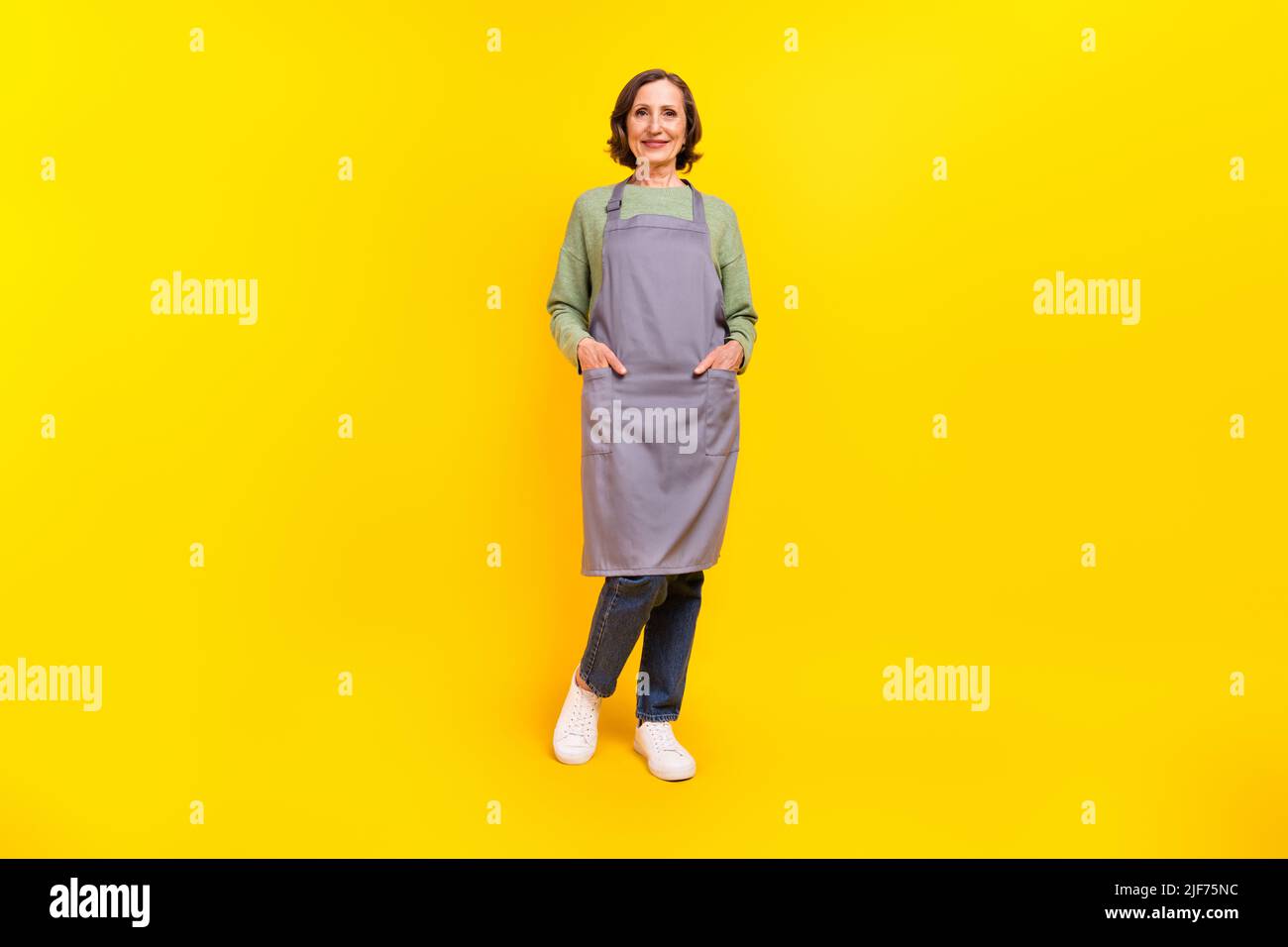 Full length body size view of attractive cheerful grey-haired woman ...
