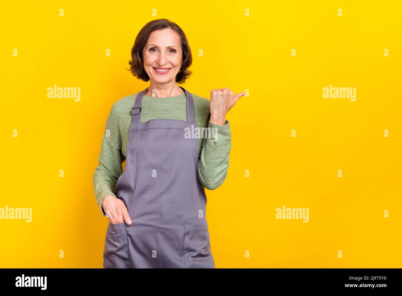 Portrait of attractive cheerful grey-haired woman helper demonstrating ...