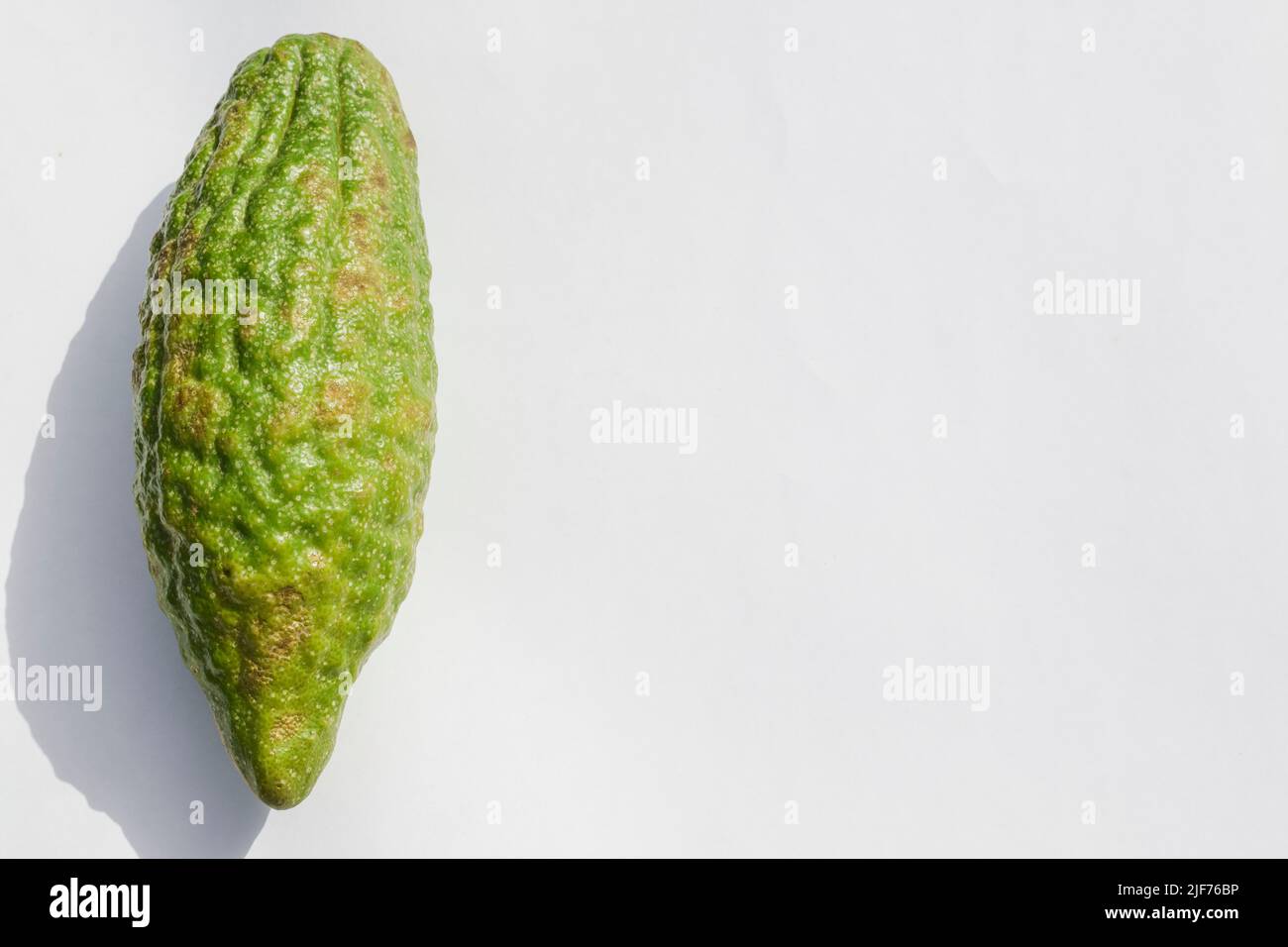 Indian fruit Bijora or Citron fruit, Sweet citrus fruit big sized long ...