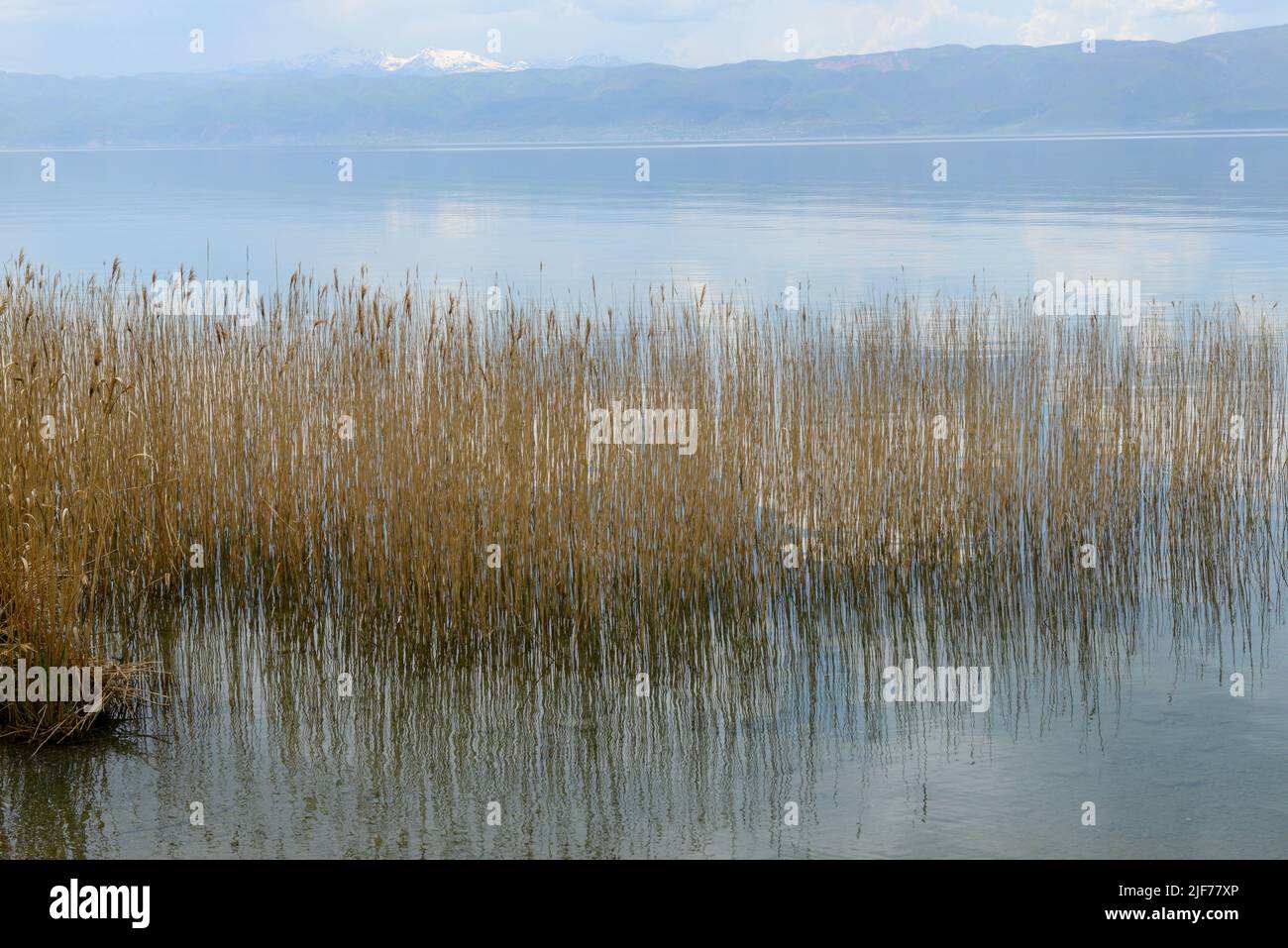 Aquatic landscapes hi-res stock photography and images - Alamy