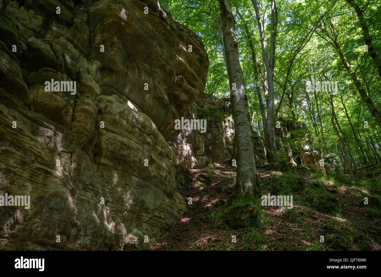 Luxembourg landscapes hi-res stock photography and images - Alamy