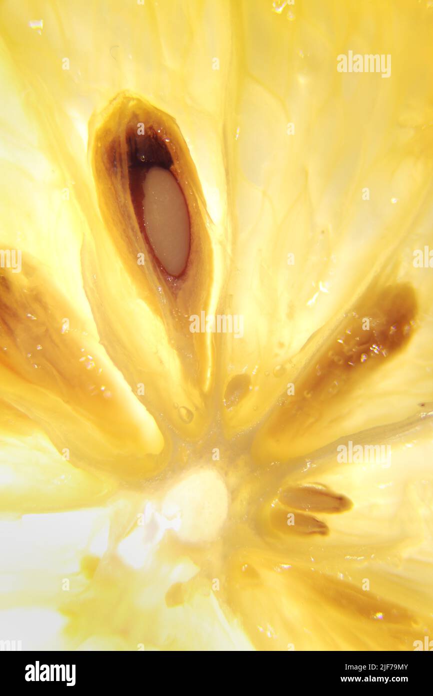 Juice vesicles hi-res stock photography and images - Alamy