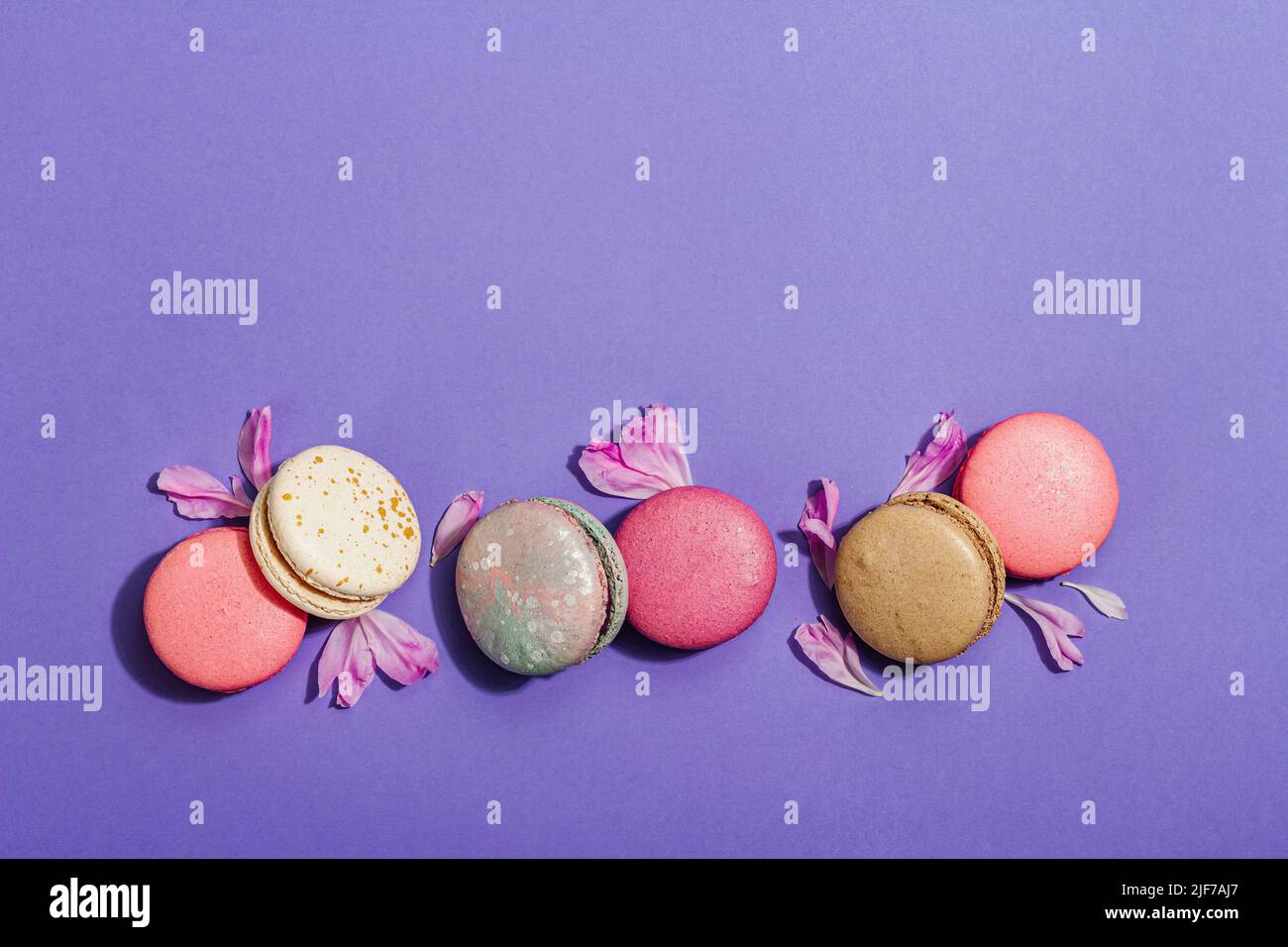 Macarons with peonies flower petals on very peri color background ...