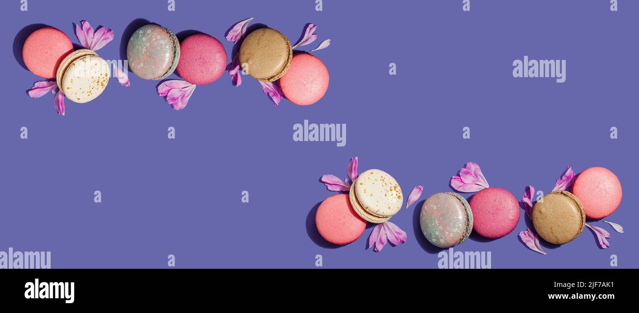 Macarons with peonies flower petals on very peri color background ...
